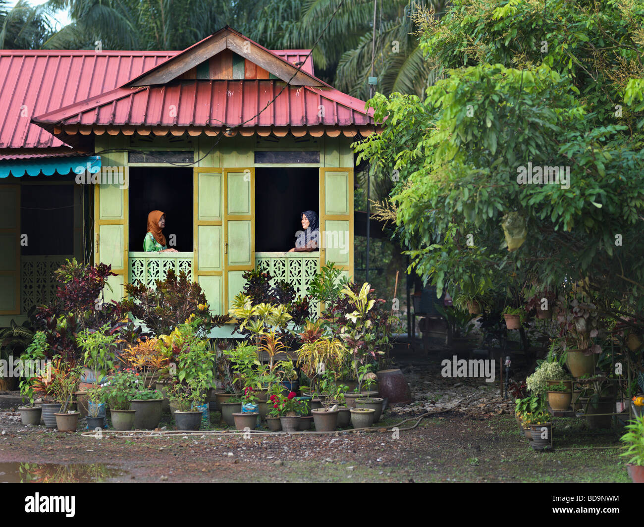Two women sit in the windows of a house overlooking there front yard ...