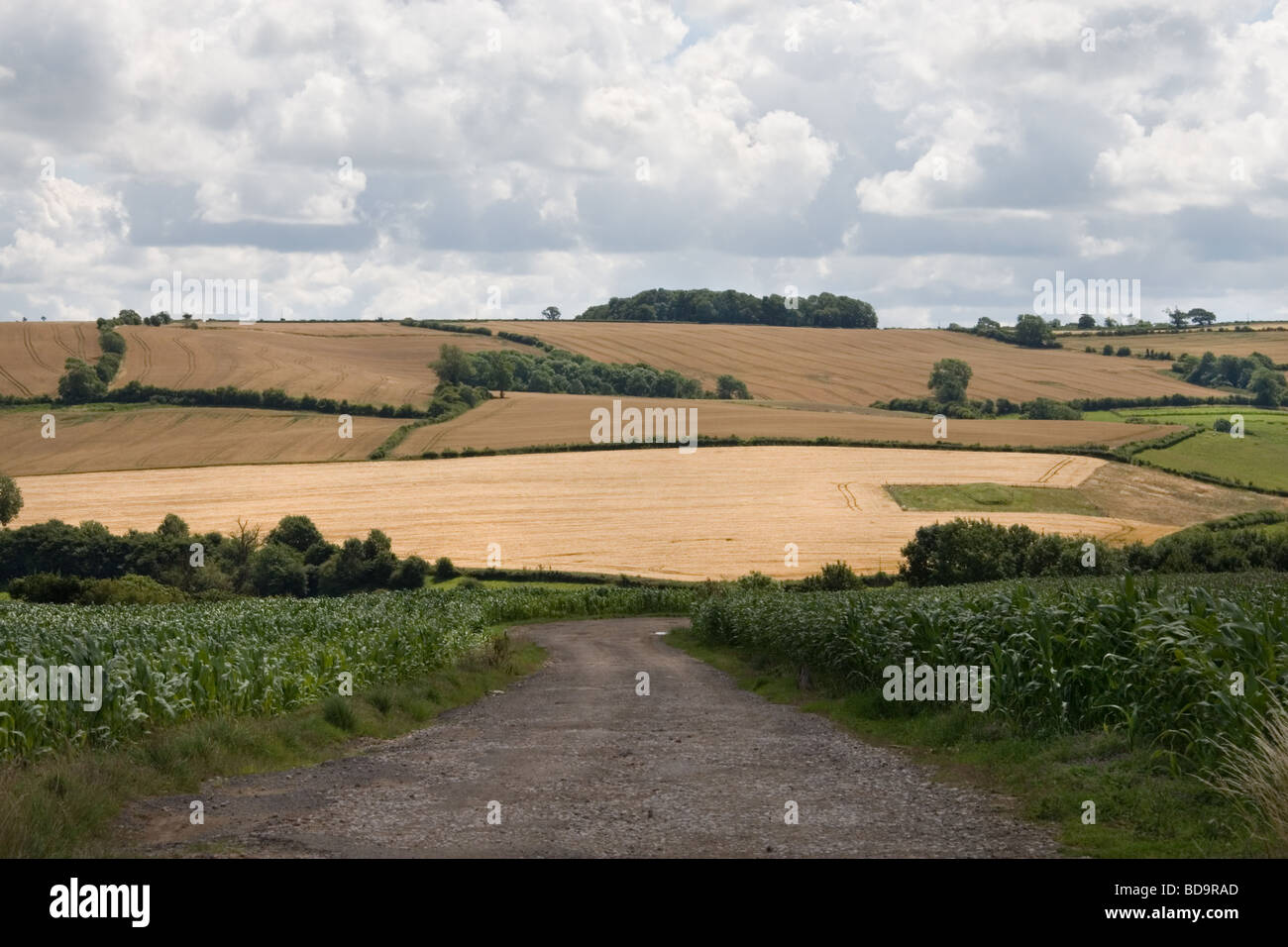 West country landscape hi-res stock photography and images - Alamy
