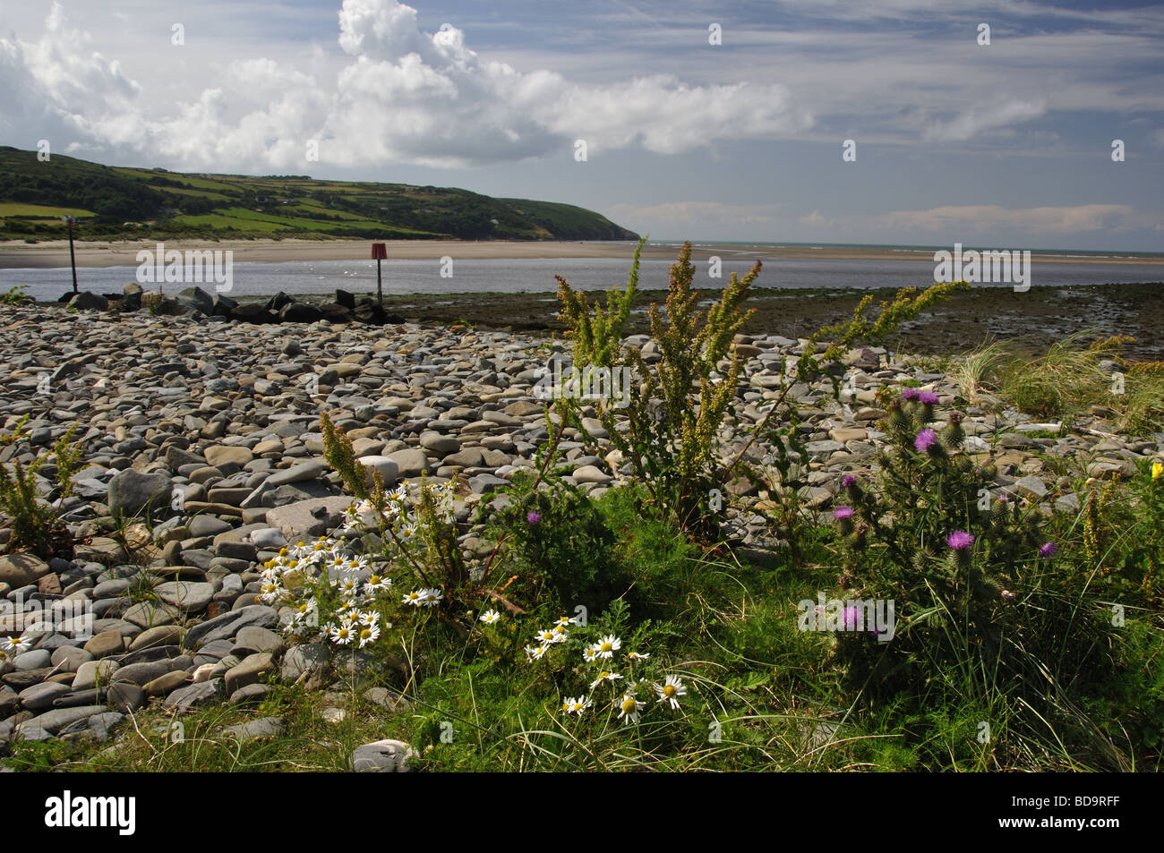 Teifi estuary Cardigan Wales Stock Photo - Alamy