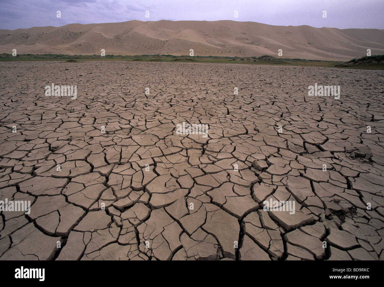Drought dry cracked scorched earth at Khongor's sand dunes in the south ...