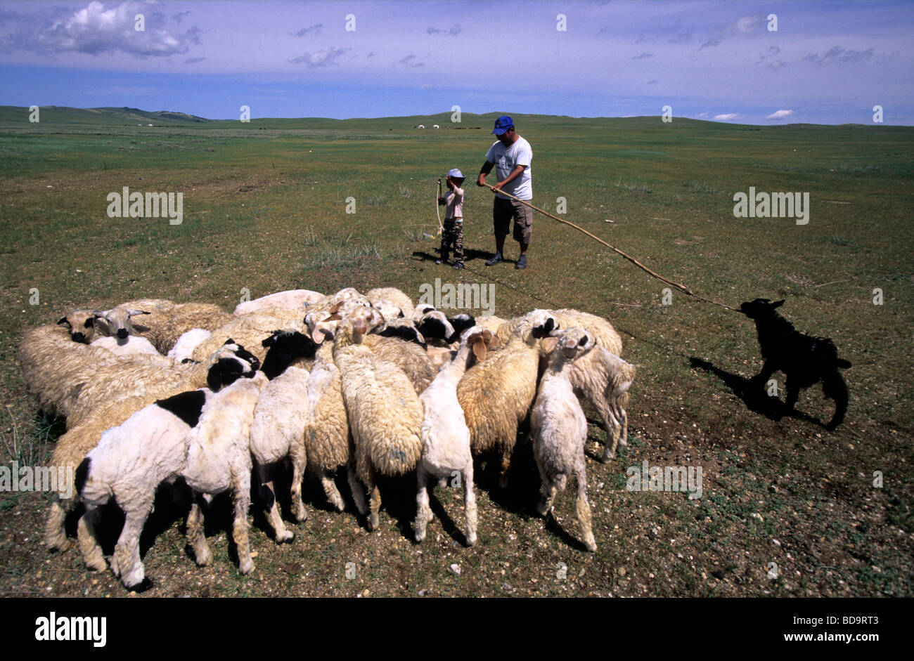 Mongolian lamb hi-res stock photography and images - Alamy