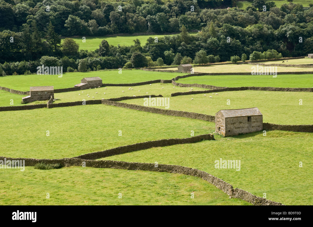 Field barn stone wall hi-res stock photography and images - Alamy