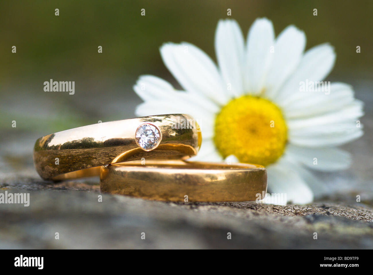 wedding rings and a daisy Stock Photo - Alamy