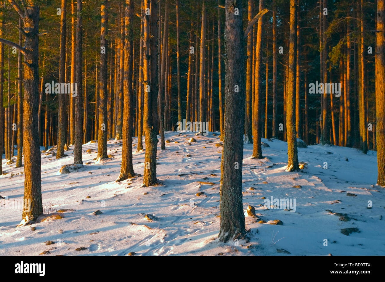 Surgeless hi-res stock photography and images - Alamy