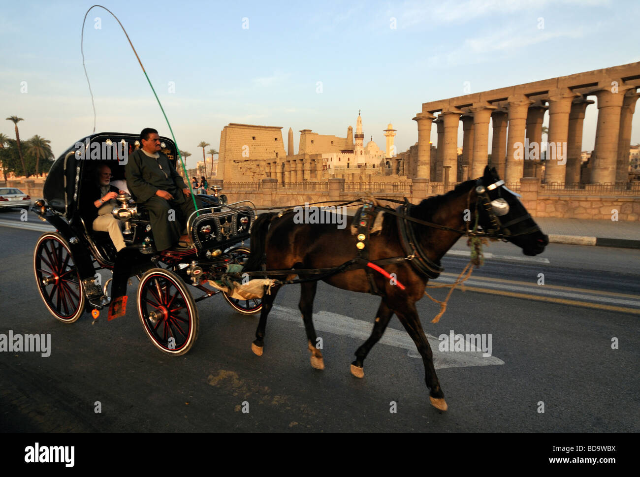 Caleche Egypt High Resolution Stock Photography and Images - Alamy