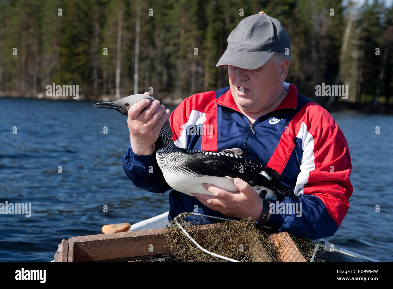 Handling loon hi-res stock photography and images - Alamy