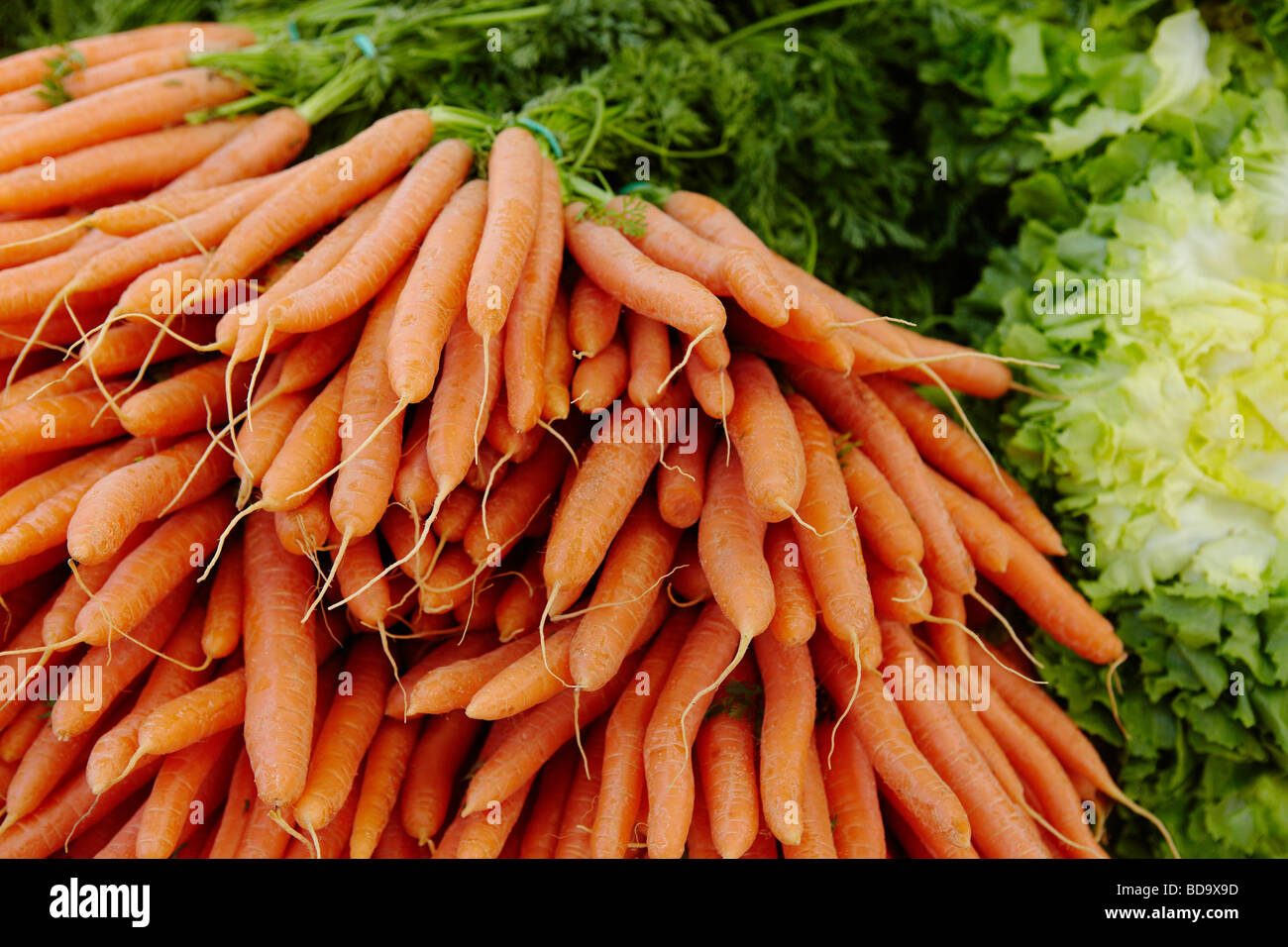 large bunch of carrots on a market stall Stock Photo - Alamy