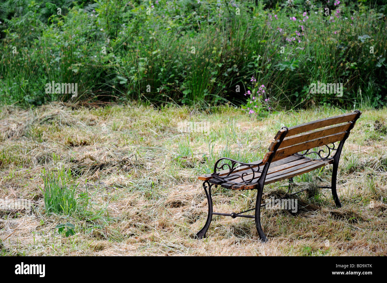 Old garden bench Stock Photo - Alamy
