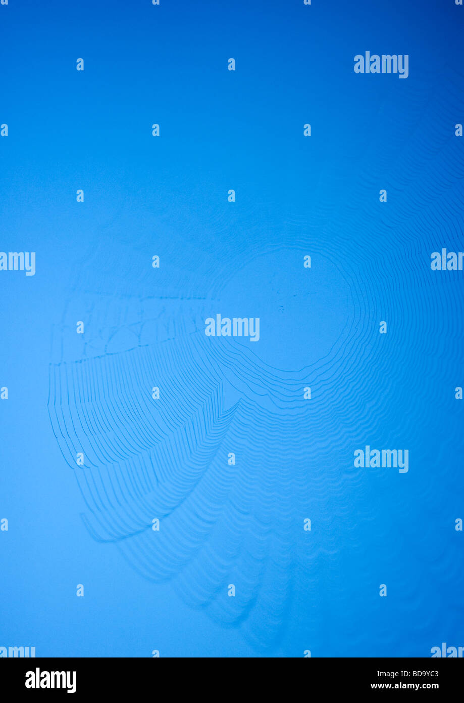 Spider Webb High Resolution Stock Photography and Images - Alamy