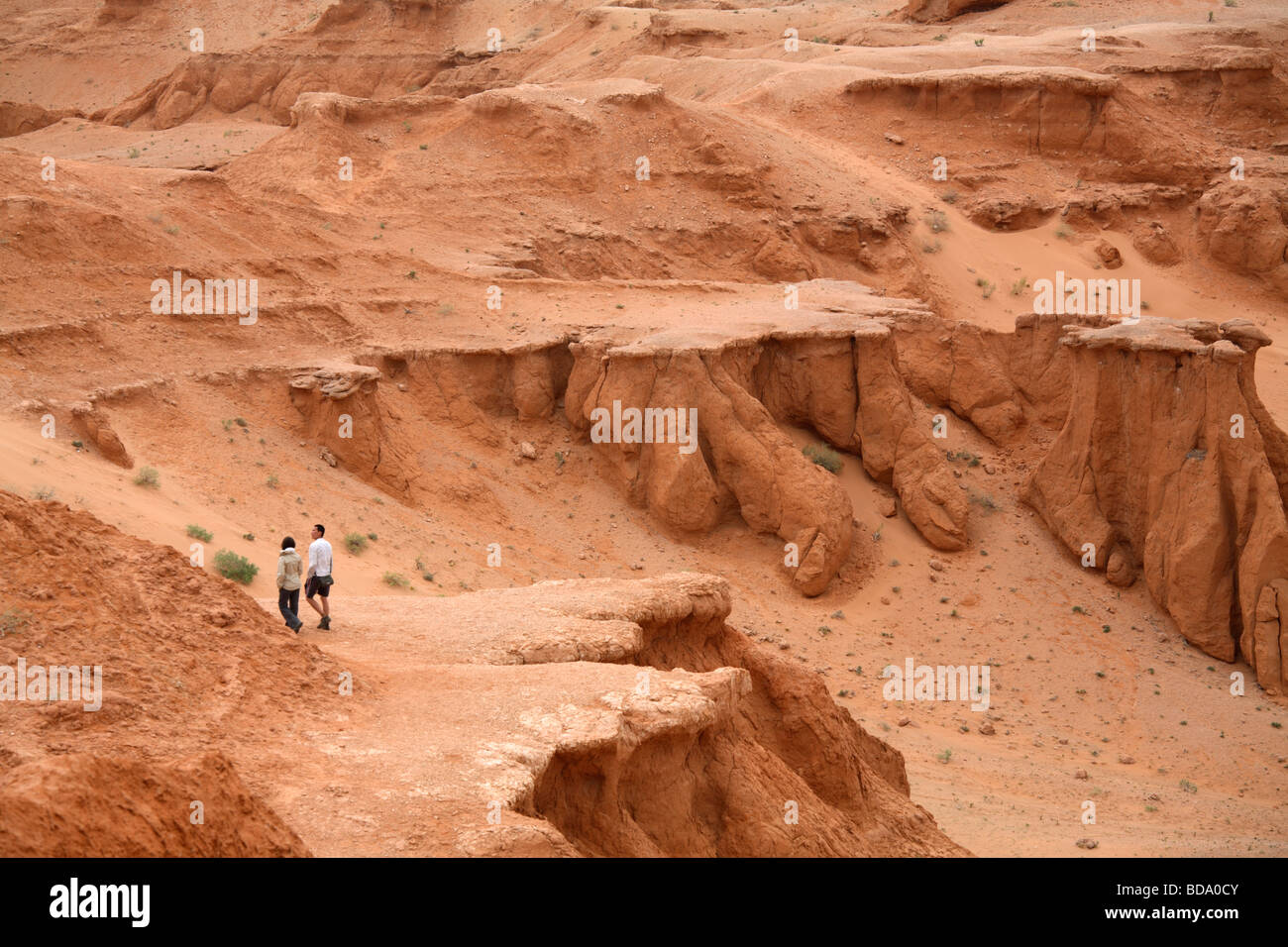 Panorama of the red earth of Bayanzag flaming cliffs, aka dinosaur ...