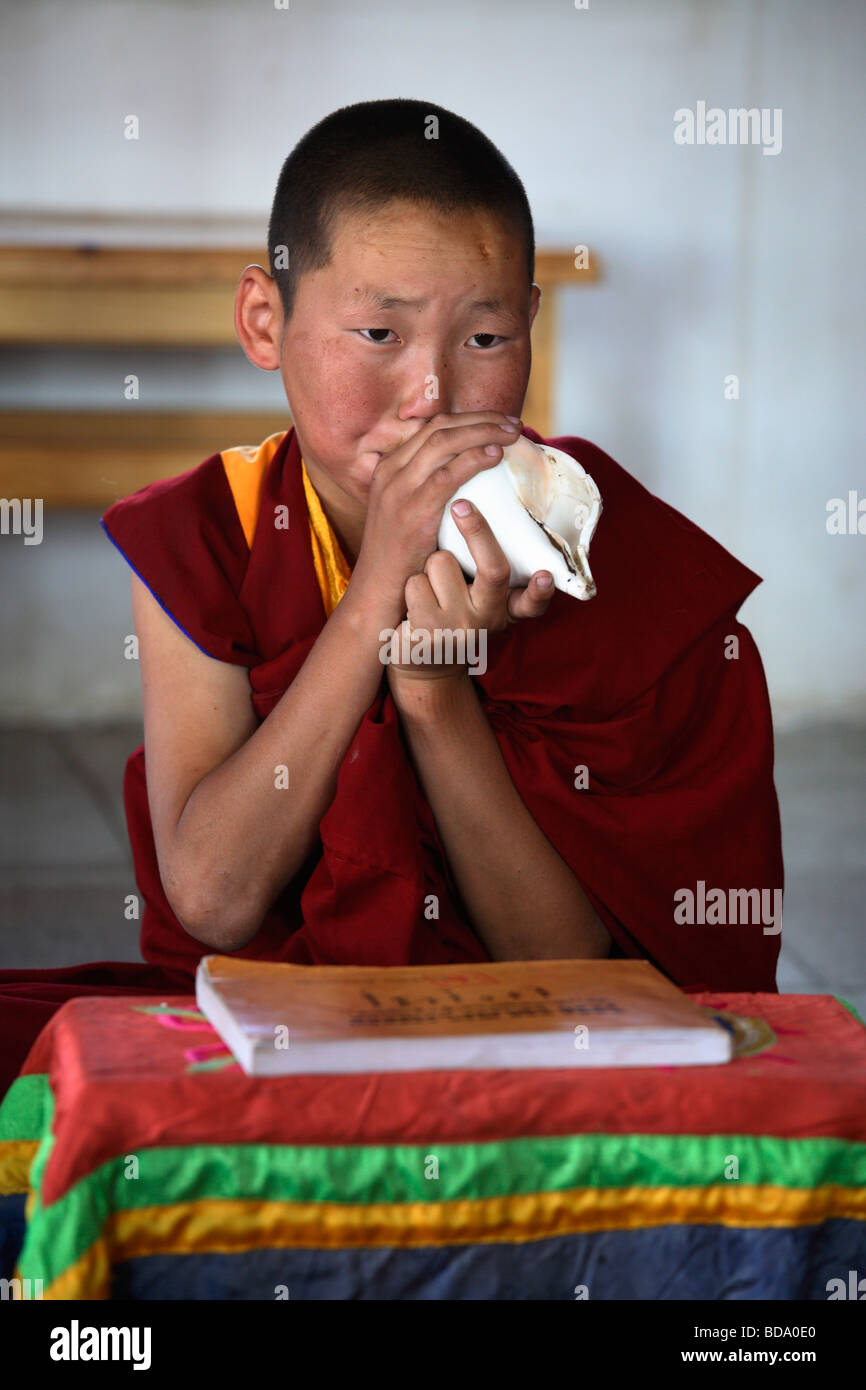 Young monk playing a shell at reading ceremony , Mongolia Stock Photo ...