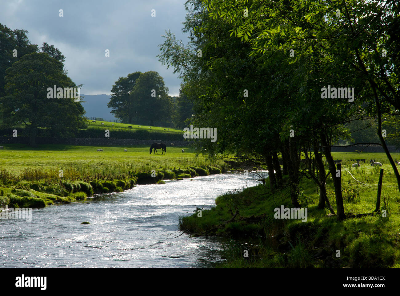The River Aire near Airton, Yorkshire Dales National Park, North ...