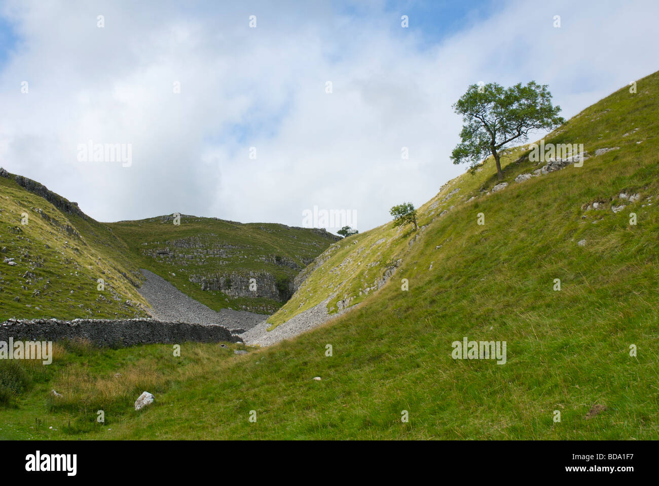 Typical limestone landscape near Malham, Yorkshire Dales National Park ...