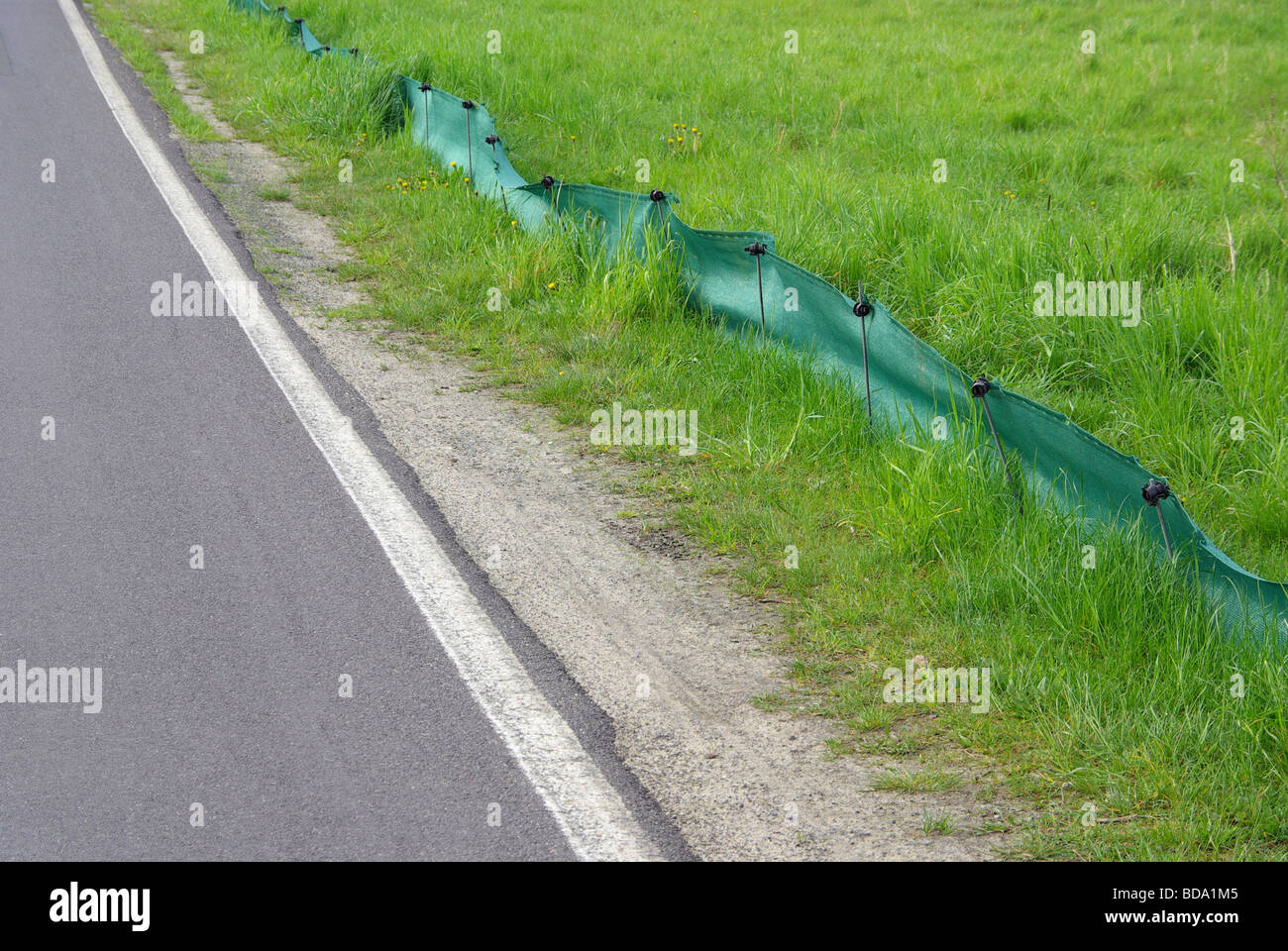Kroetenzaun toad fence 01 Stock Photo - Alamy