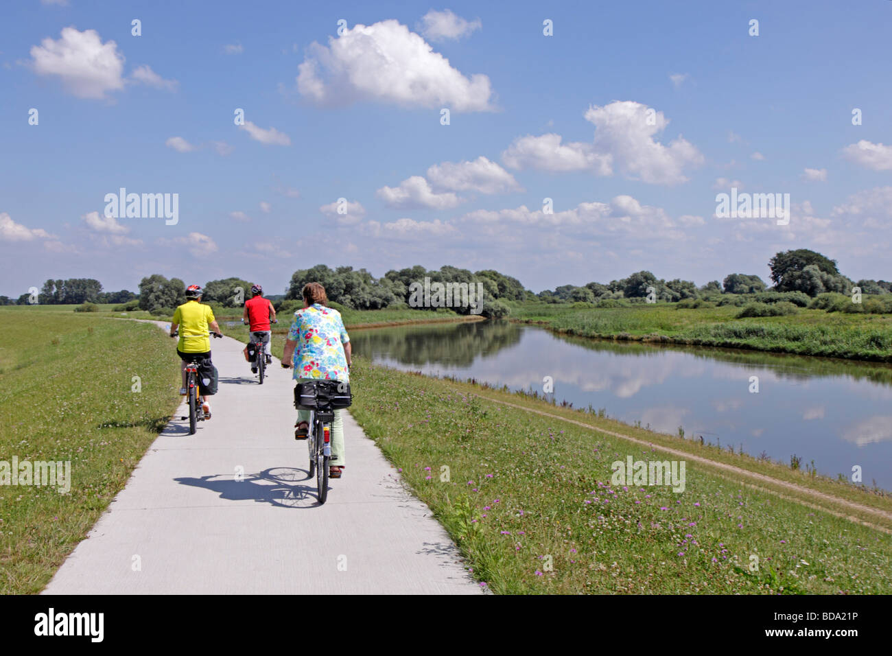 Sk8 119 hi-res stock photography and images - Alamy