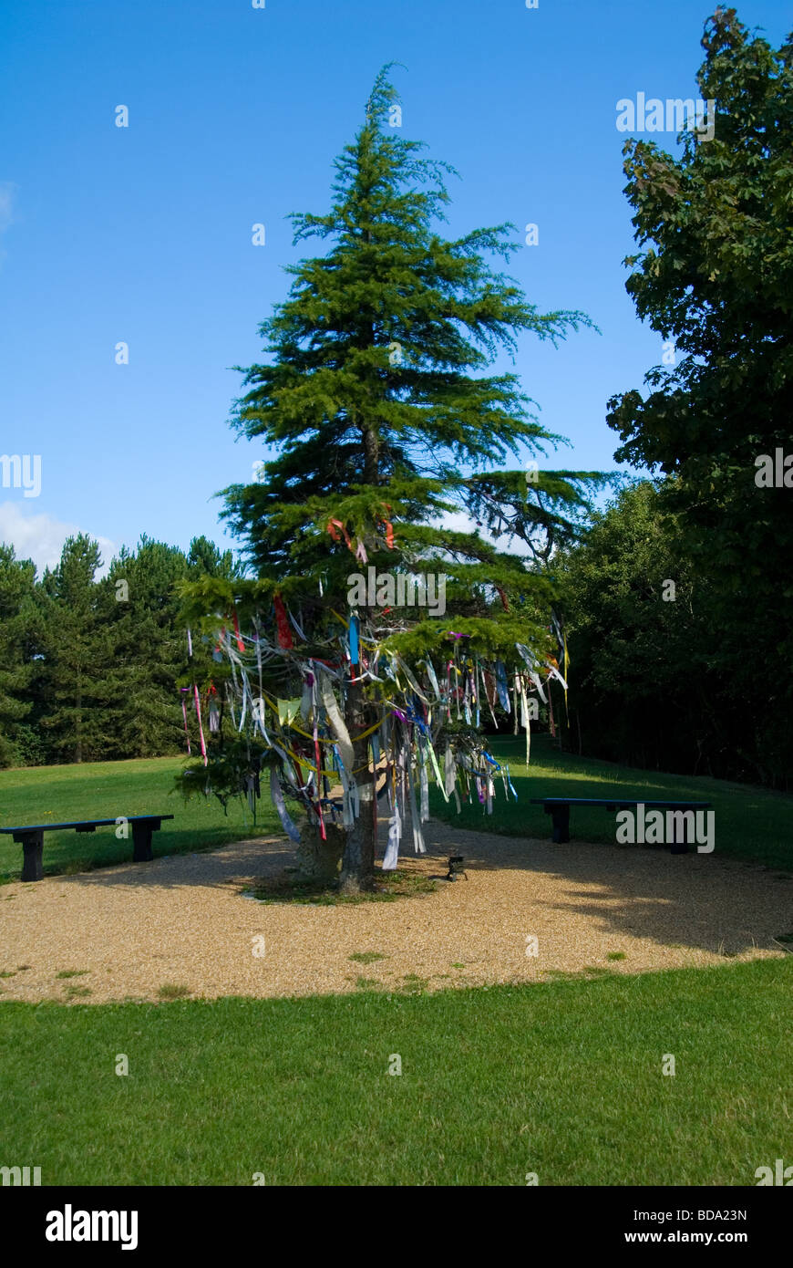 Prayer tree hi-res stock photography and images - Alamy