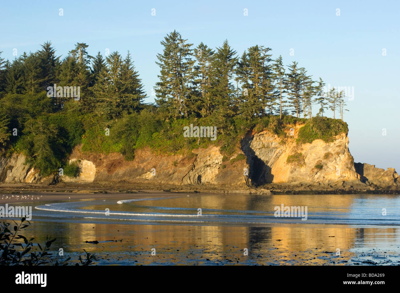 Cliff cove beach oregon hi-res stock photography and images - Alamy
