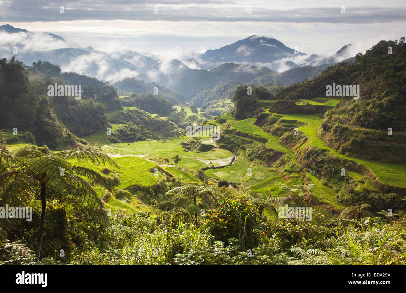 Banaue Rice Terraces In Philippines High Resolution Stock Photography ...