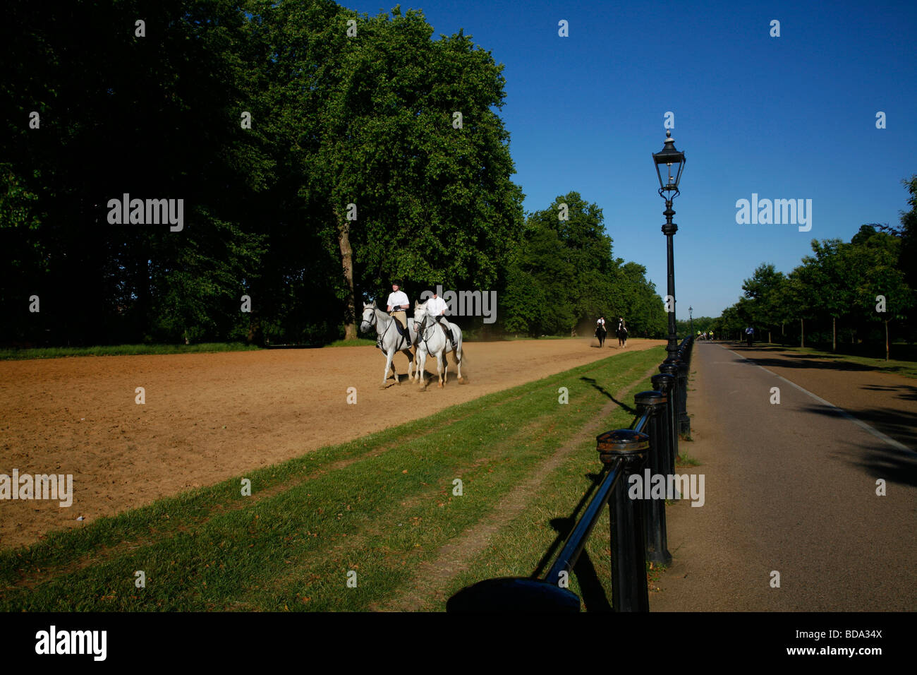 Horse riding on Rotten Row, Hyde Park, London, UK Stock Photo - Alamy