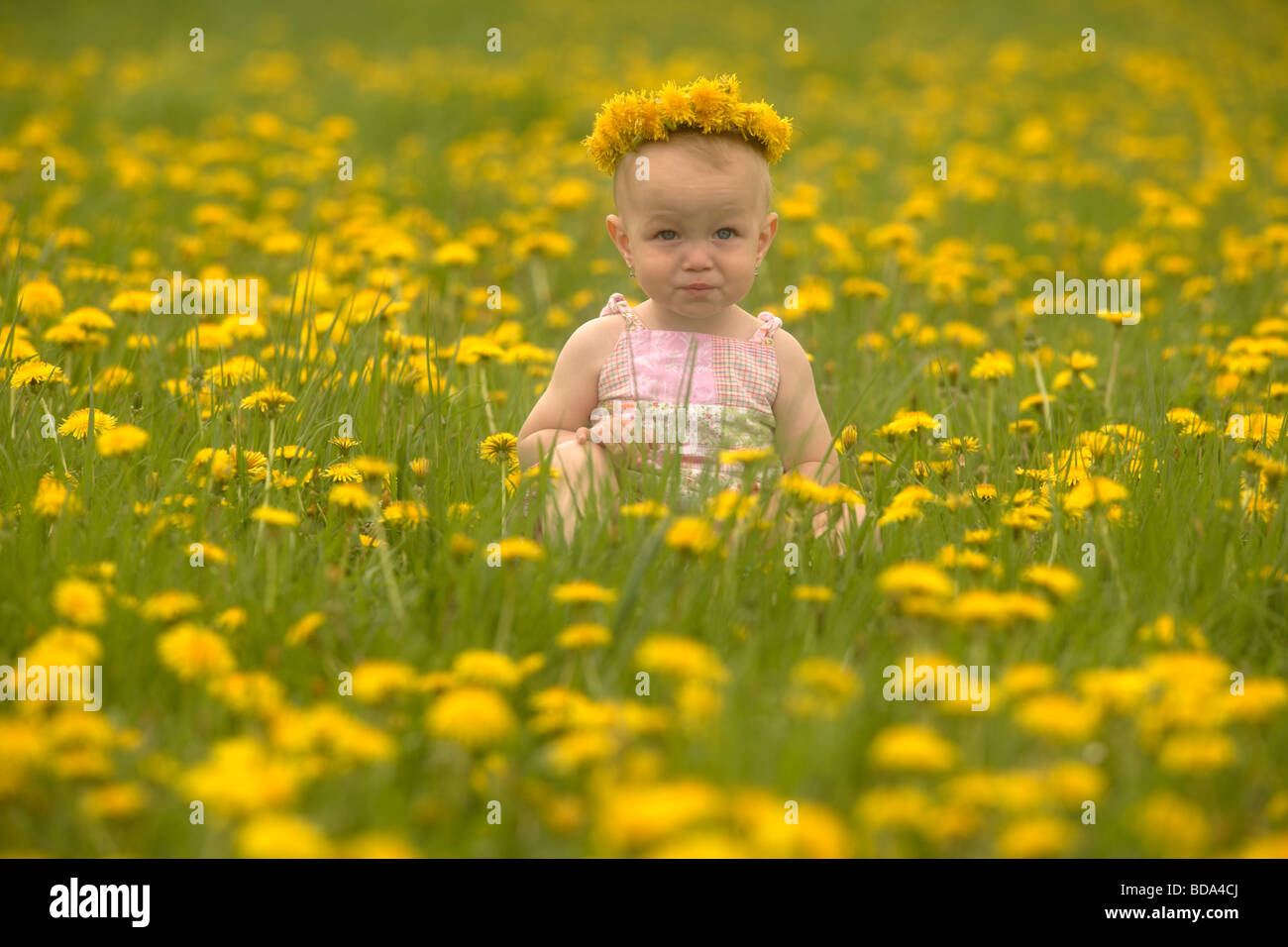 Baby ,girl,in a spring meadow Stock Photo - Alamy