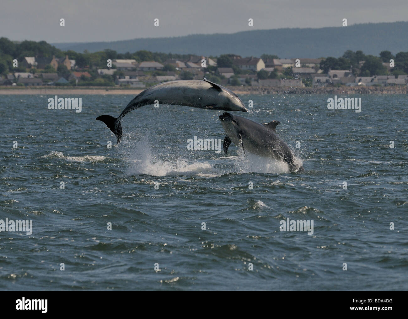 Ardersier Scotland High Resolution Stock Photography and Images - Alamy