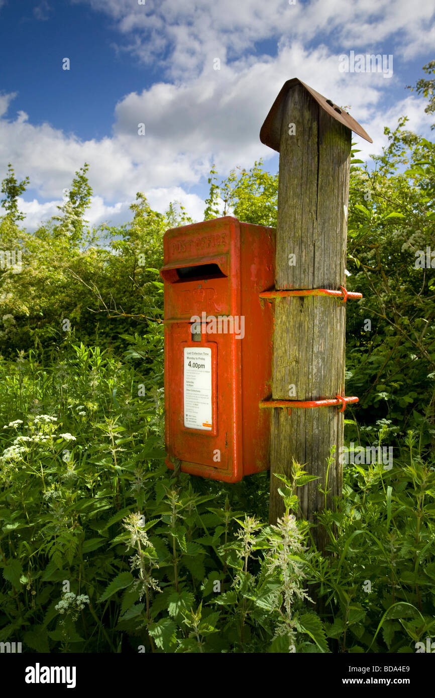 Traditional Red Post Box, Wimbish Green village, Essex, UK, Europe ...