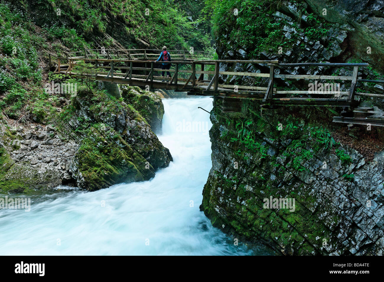 Vintgar Gorge near Bled, Gorenjska, Slovenia Stock Photo - Alamy