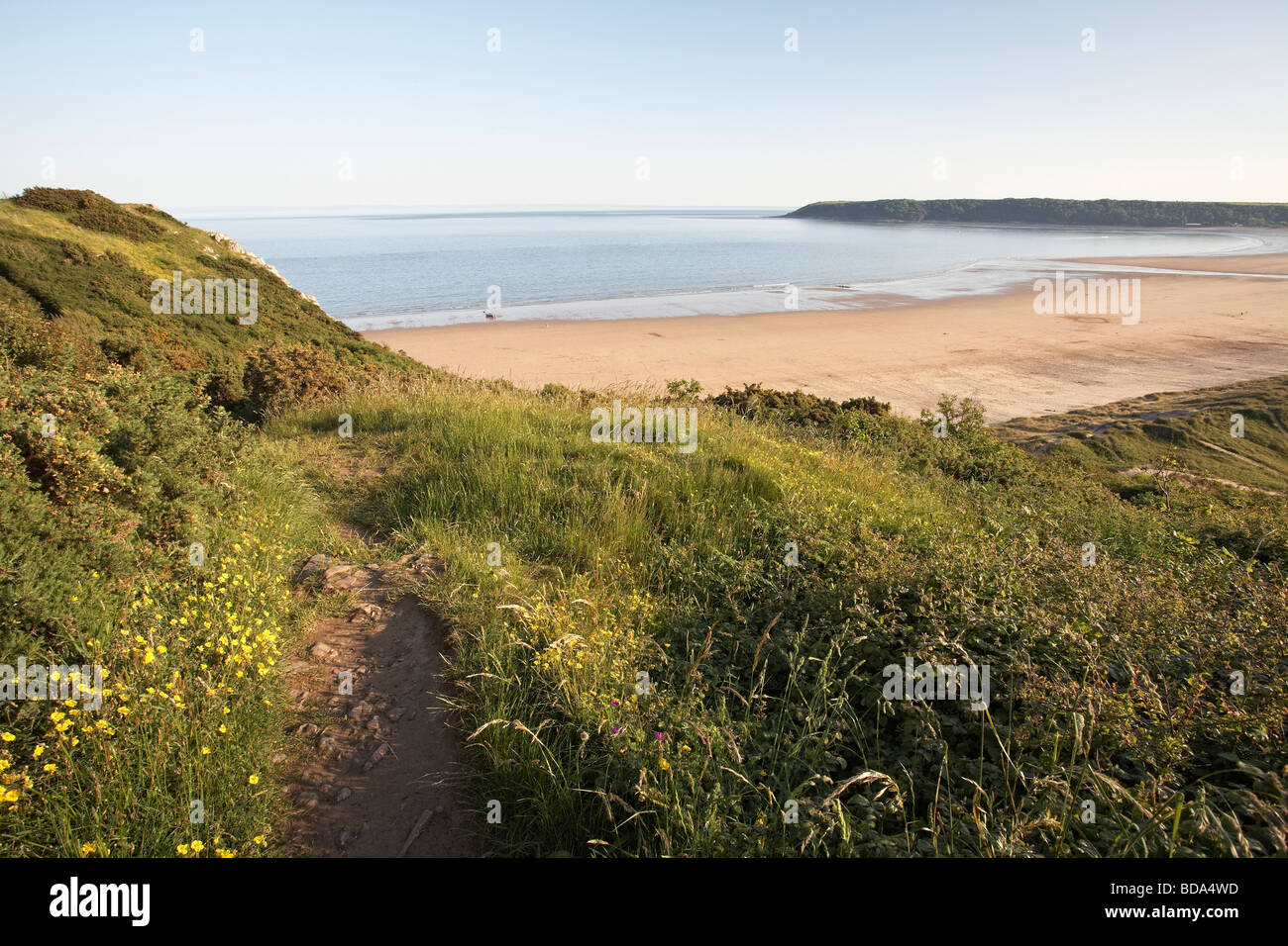 Nicholaston Burrows Oxwich Bay Gower Peninsula Wales UK Stock Photo - Alamy