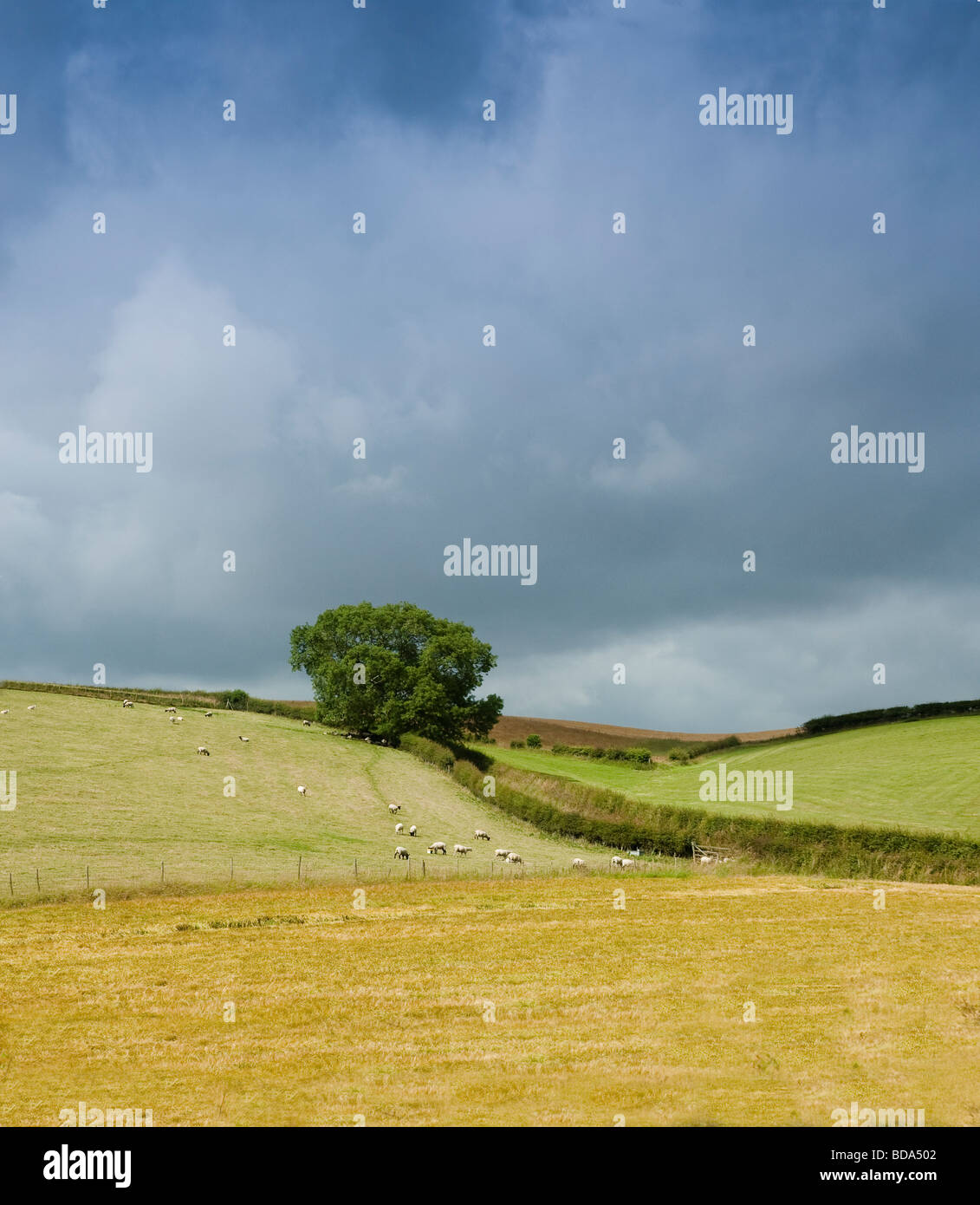 Yorkshire Wolds. East Riding Yorkshire Stock Photo - Alamy