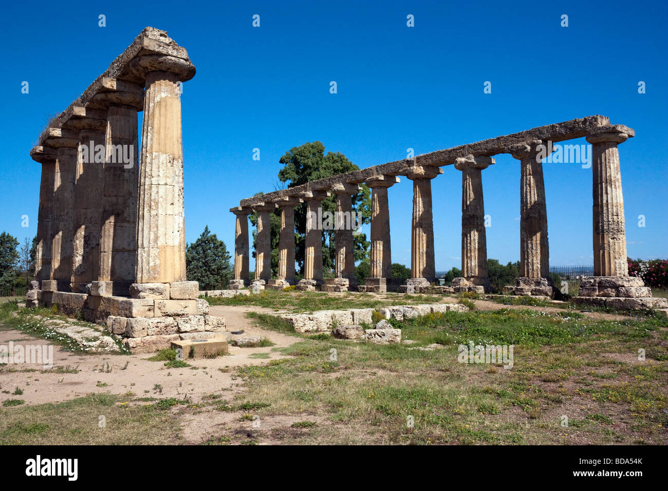 Metapontum, italy hi-res stock photography and images - Alamy