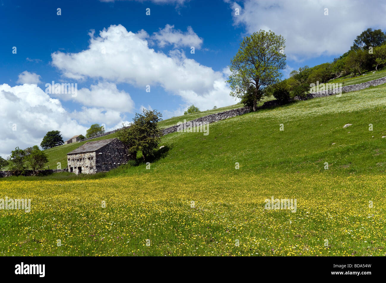 Langstrothdale in Yorkshire Dales North Yorkshire England Stock Photo ...