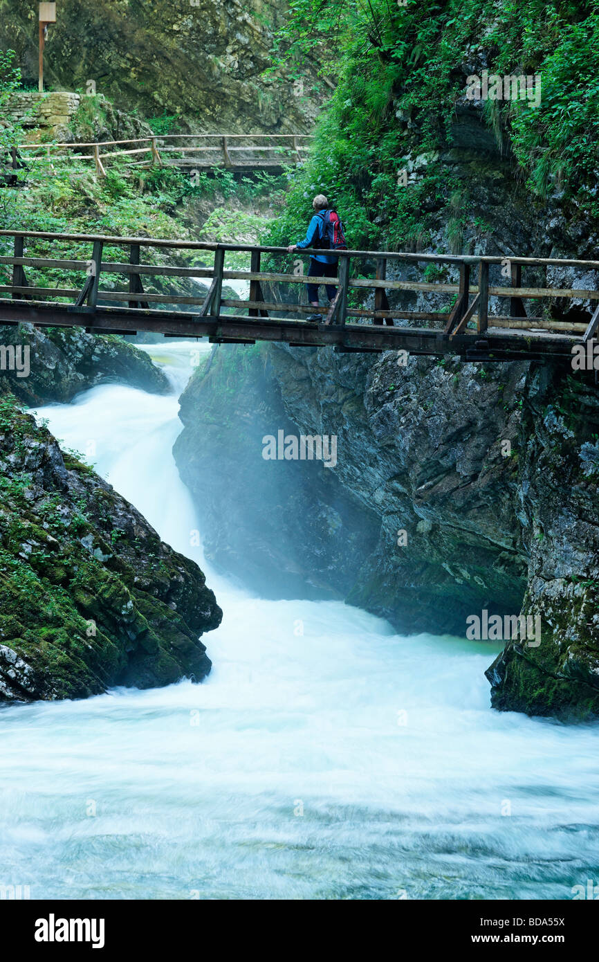 Vintgar Gorge near Bled, Gorenjska, Slovenia Stock Photo - Alamy