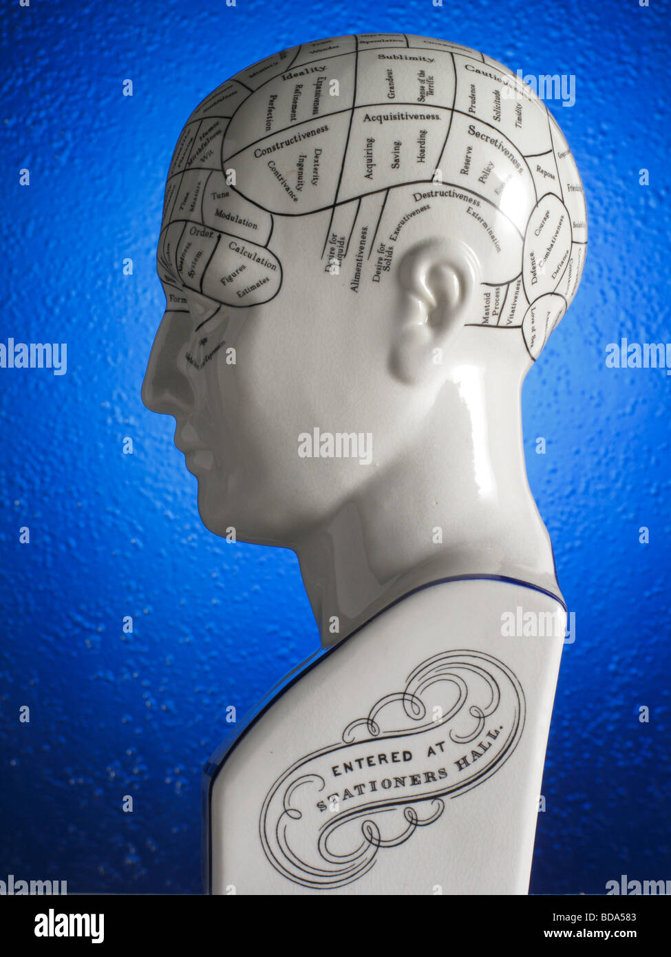 Phrenology diagram brain hi-res stock photography and images - Alamy