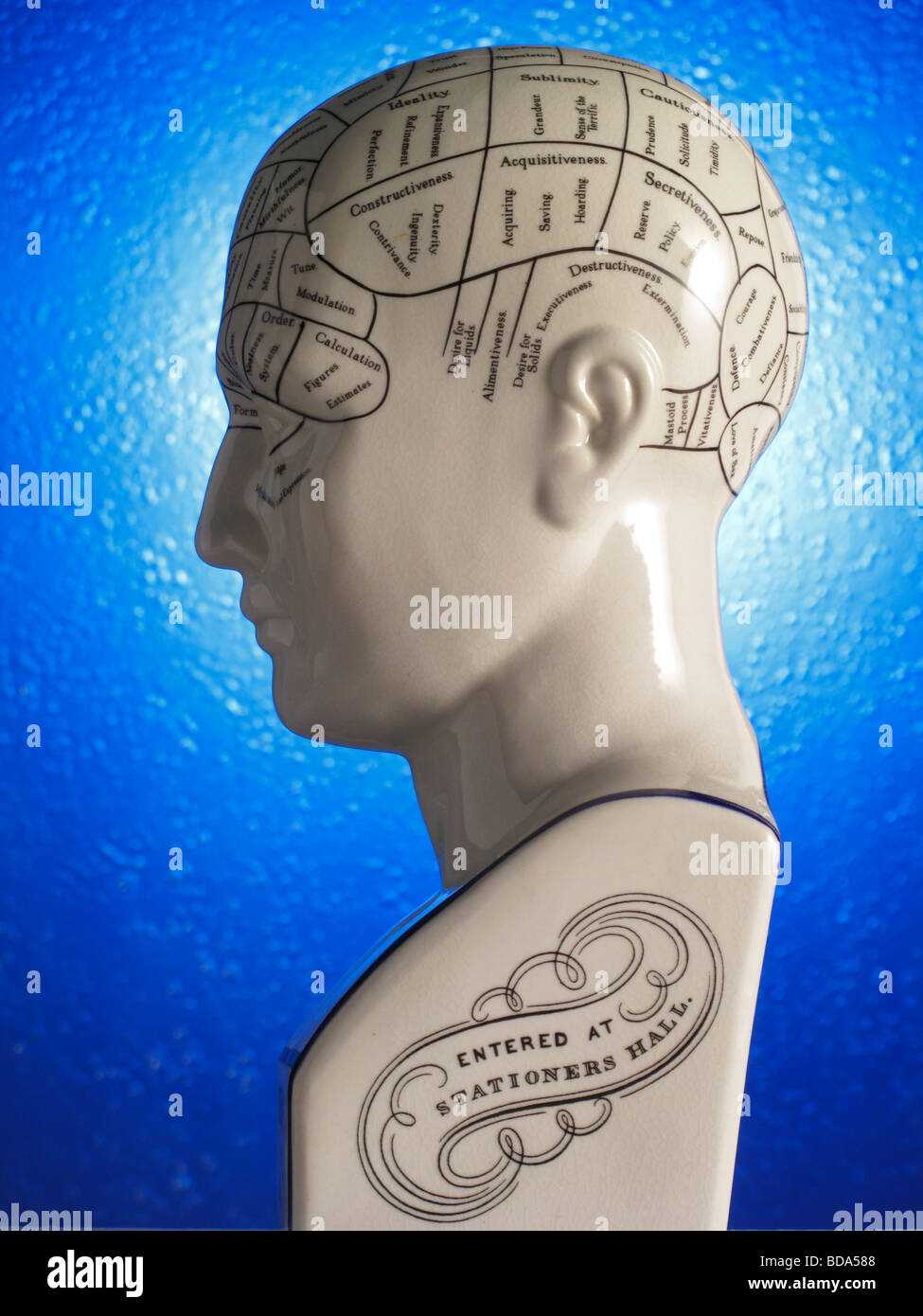Phrenology head hi-res stock photography and images - Alamy
