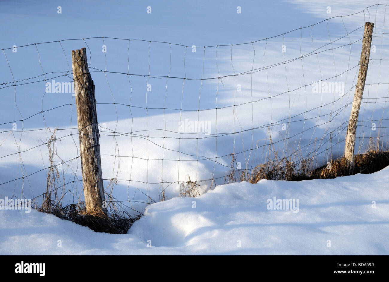Field with wire fence hi-res stock photography and images - Alamy