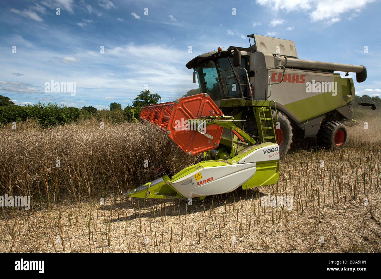 Claas Lexion 540 Combine Harvester Stock Photo - Alamy