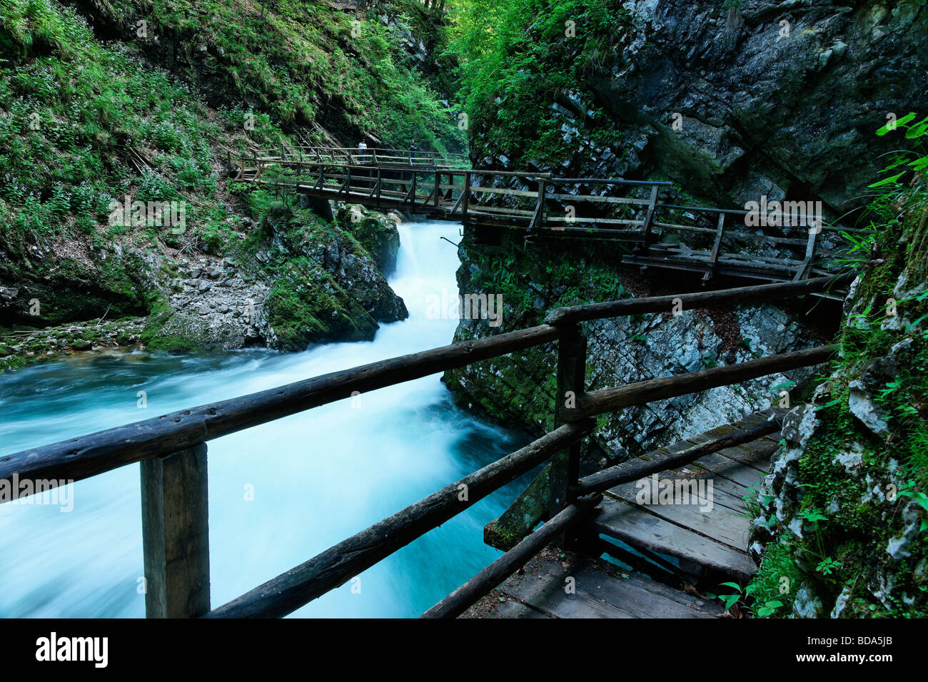 The vintgar gorge hi-res stock photography and images - Alamy