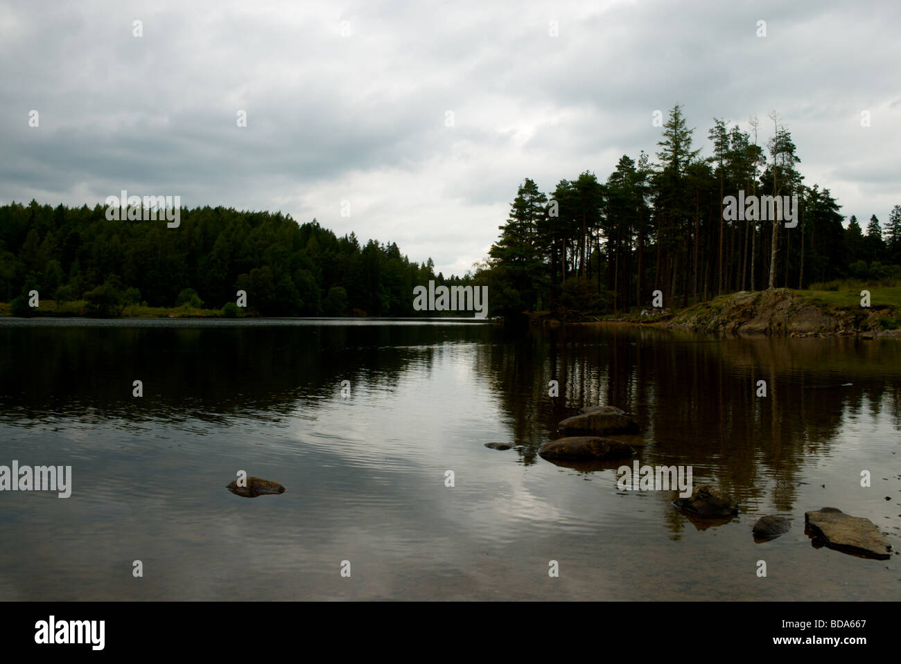 Tarn pond hi-res stock photography and images - Alamy