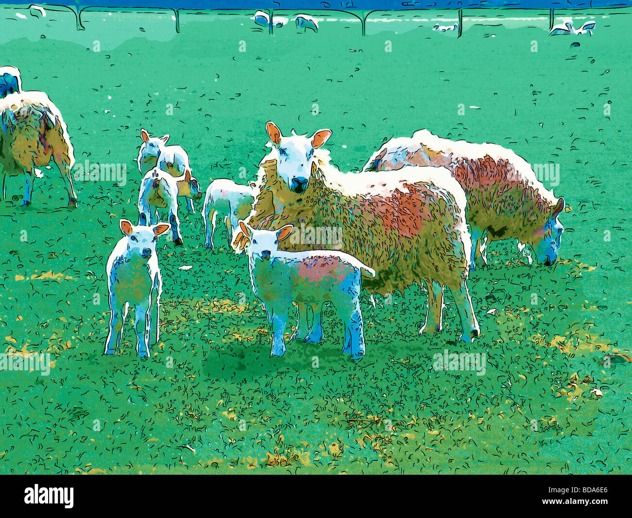 Digitally Modified View of a Group of Sheep and Lambs Stock Photo - Alamy