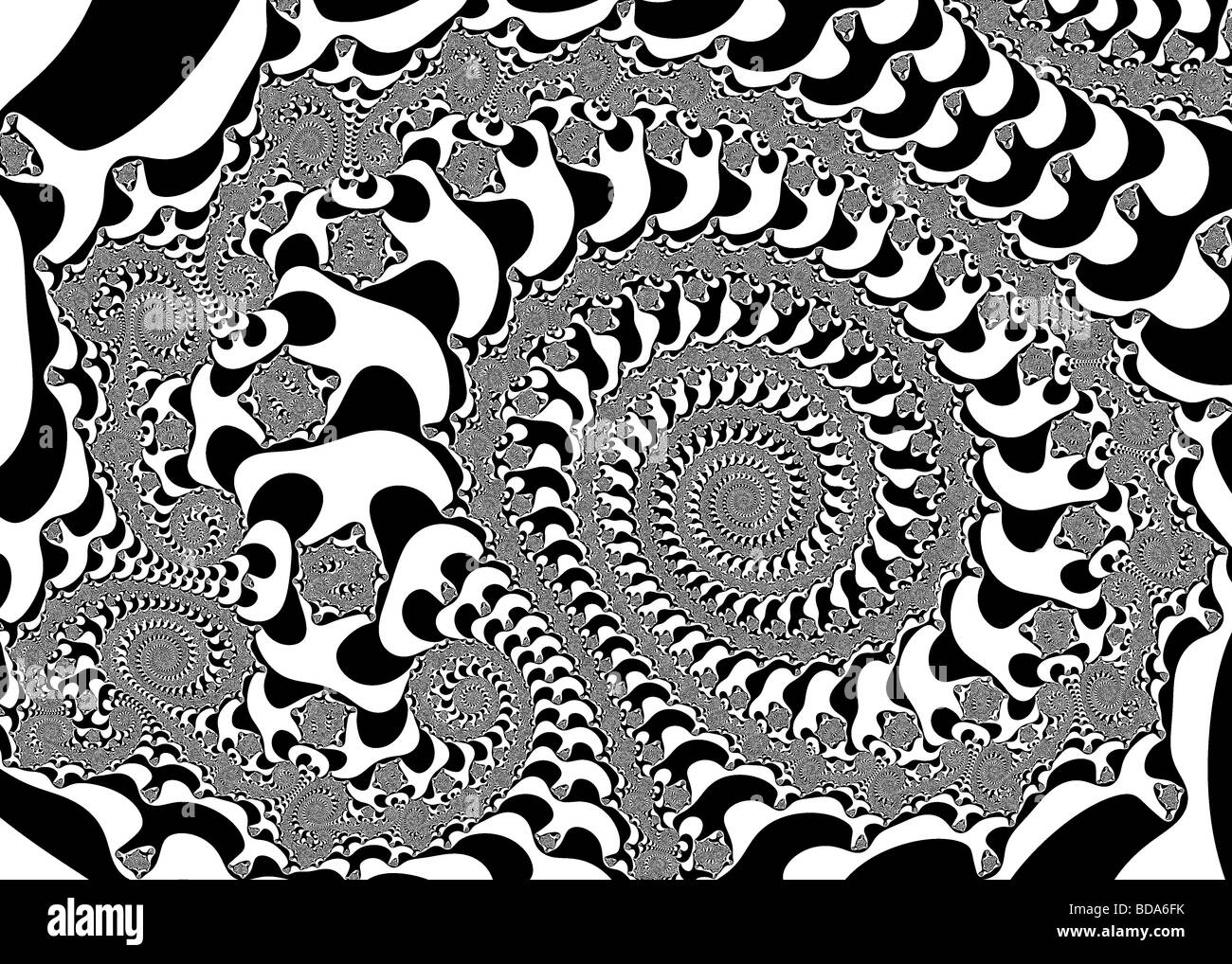 Computer Generated Fractal Image in Black and White Suggestive of Snail ...