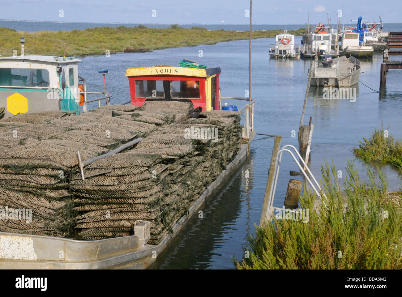 Oyster-farming boats, loaded with oyster bags, moored along Arceau ...