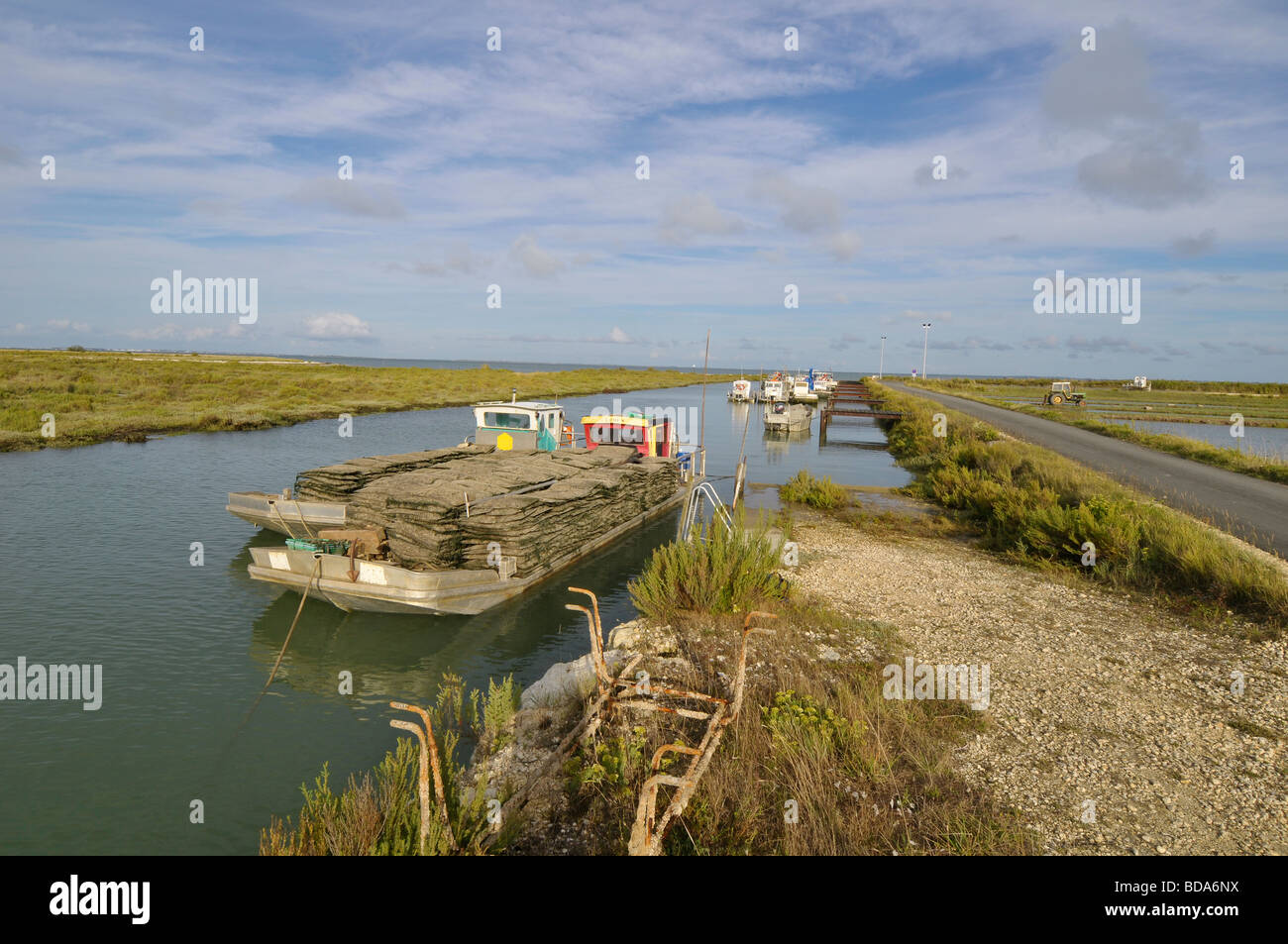 Oyster farming oyster barge hi-res stock photography and images - Alamy