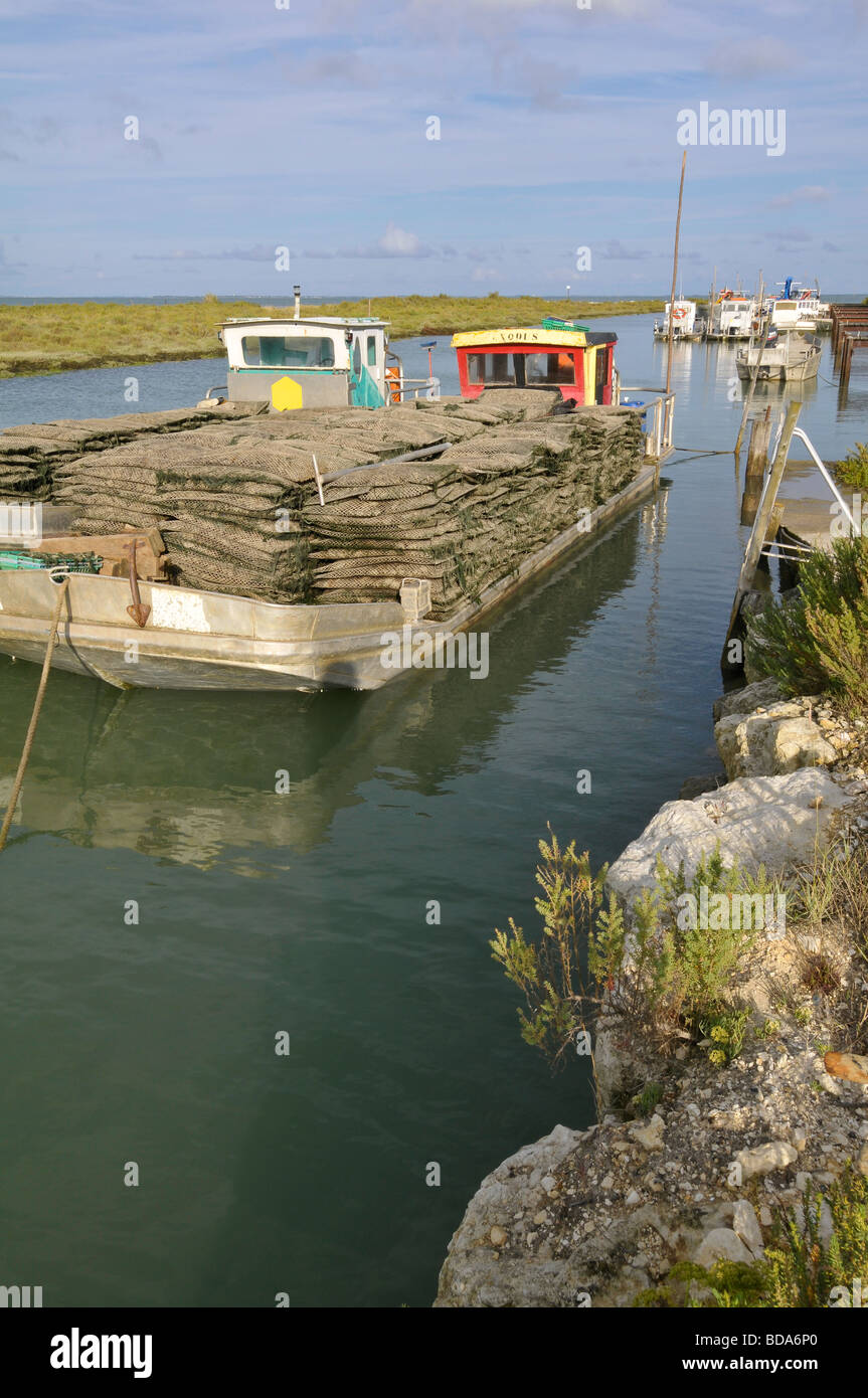 Oyster-farming boats, loaded with oyster bags, moored along Arceau ...