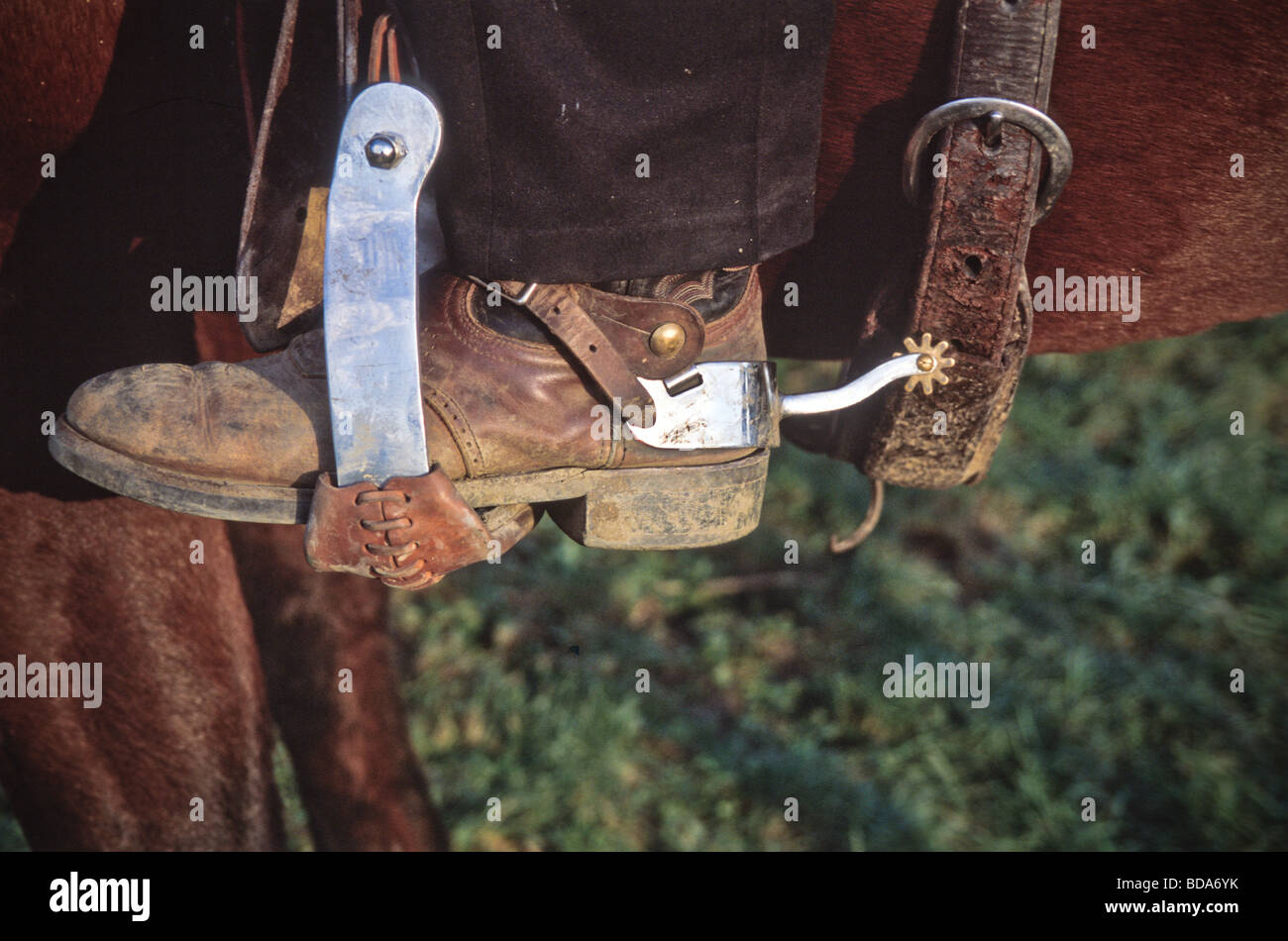 close up of cowboy boot and spur in stirrup, at county fair rodeo Stock ...