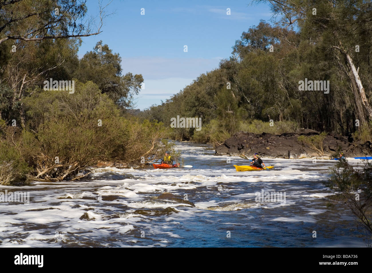 Canoeing on the Avon River in Walyunga National Park. Near Perth ...