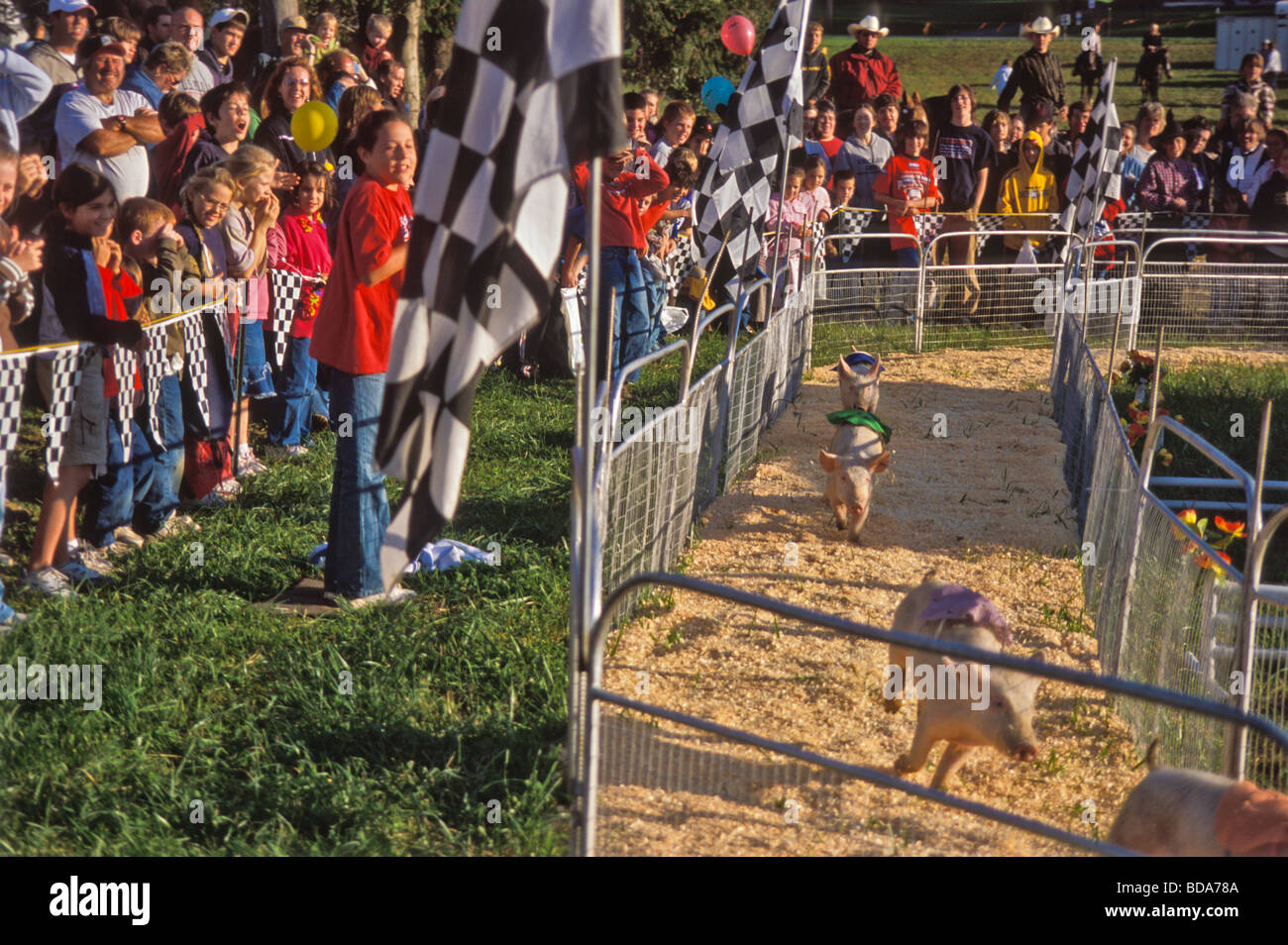 Horse riders and pig hi-res stock photography and images - Alamy