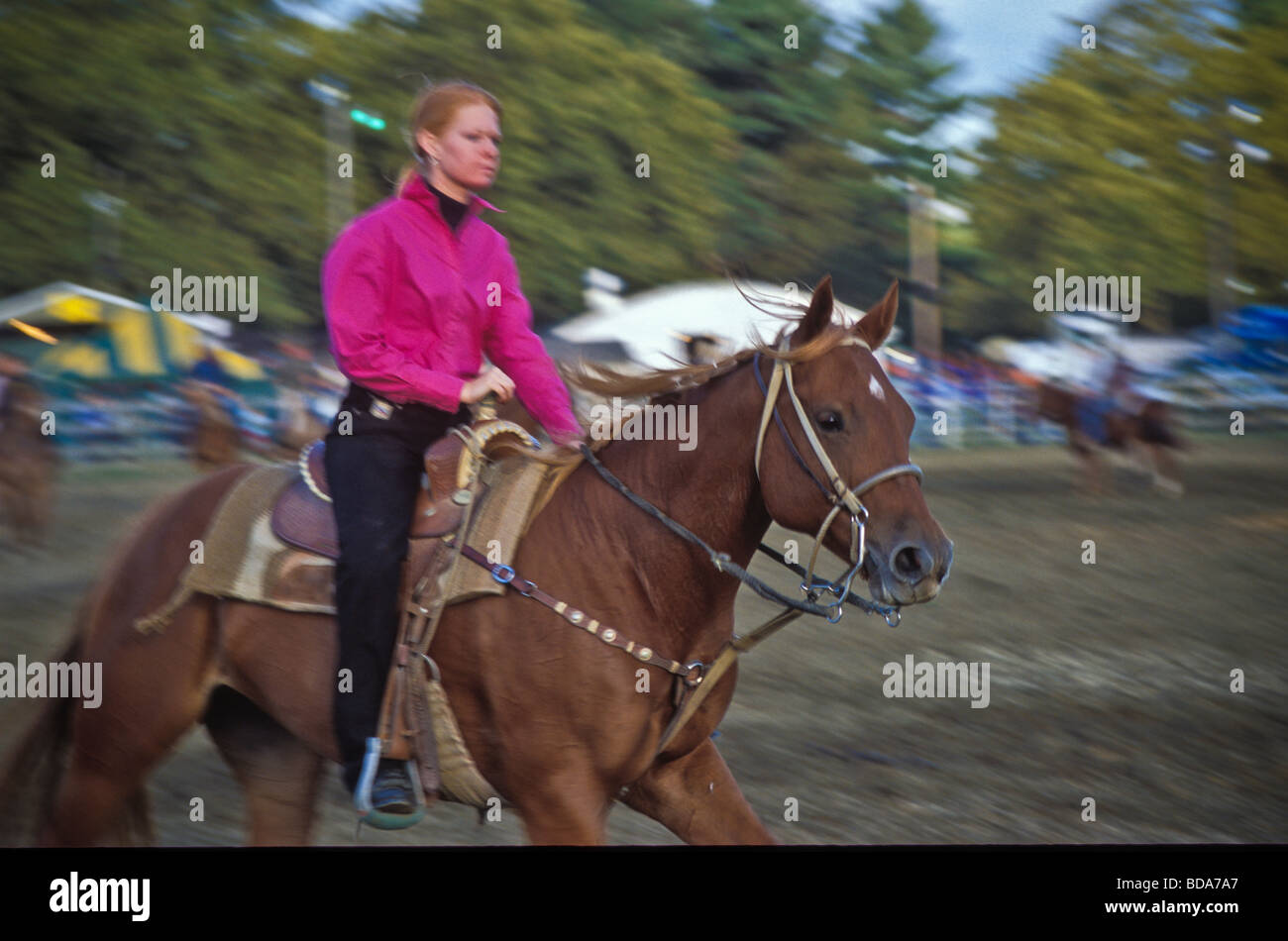 Livestock judging barn hi-res stock photography and images - Alamy