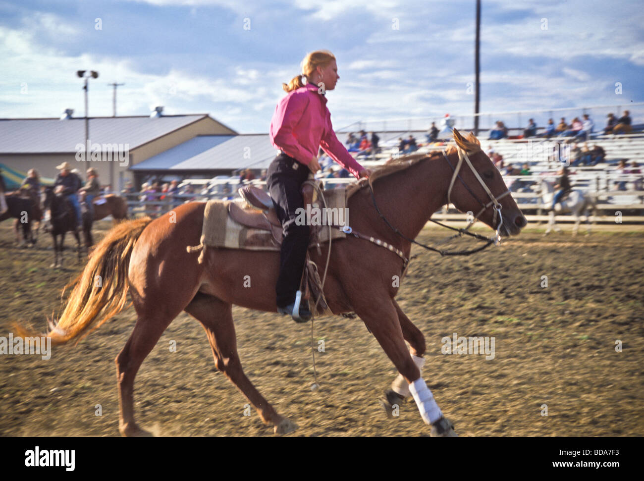 Young woman on horseback in judging arena of county fair Stock Photo ...