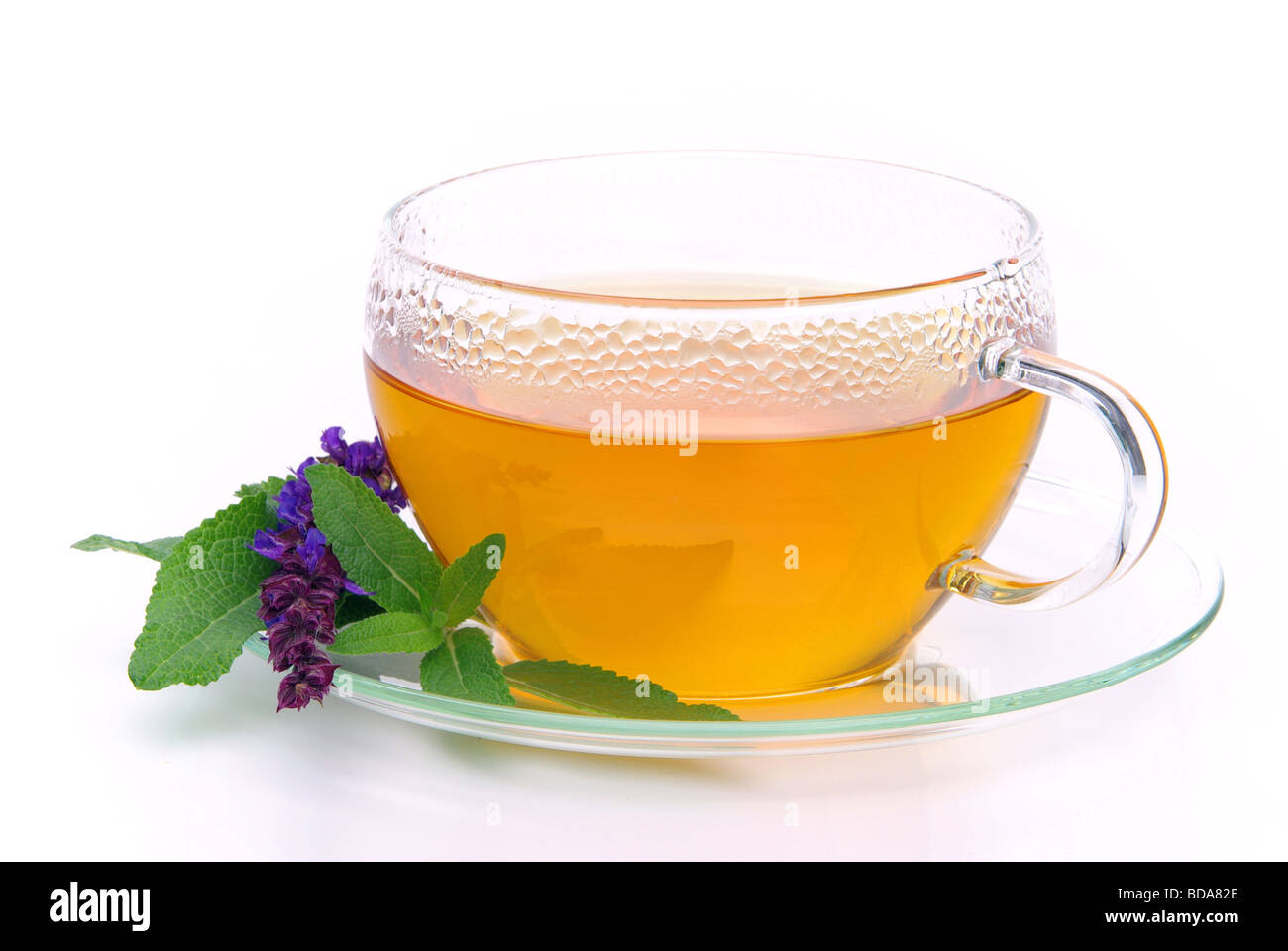 Salbei tea hi-res stock photography and images - Alamy