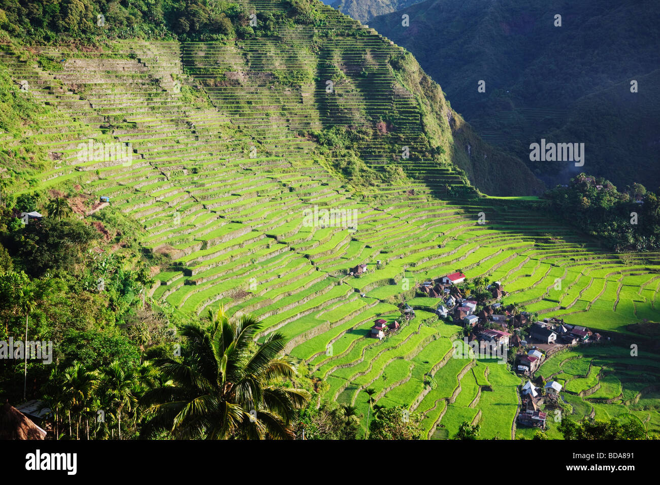 Rice terraces and Batad village Ifugao Province Northern Luzon ...